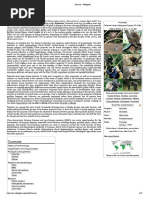 Primate Chart | PDF | Monkey | Ape