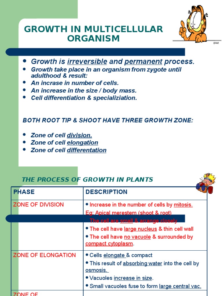 Growth in Multicellular Organism: Growth Is Irreversible and Permanent ...