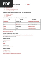 Anatomy & Physiology Skeletal System Exam Questions and Answers | PDF ...