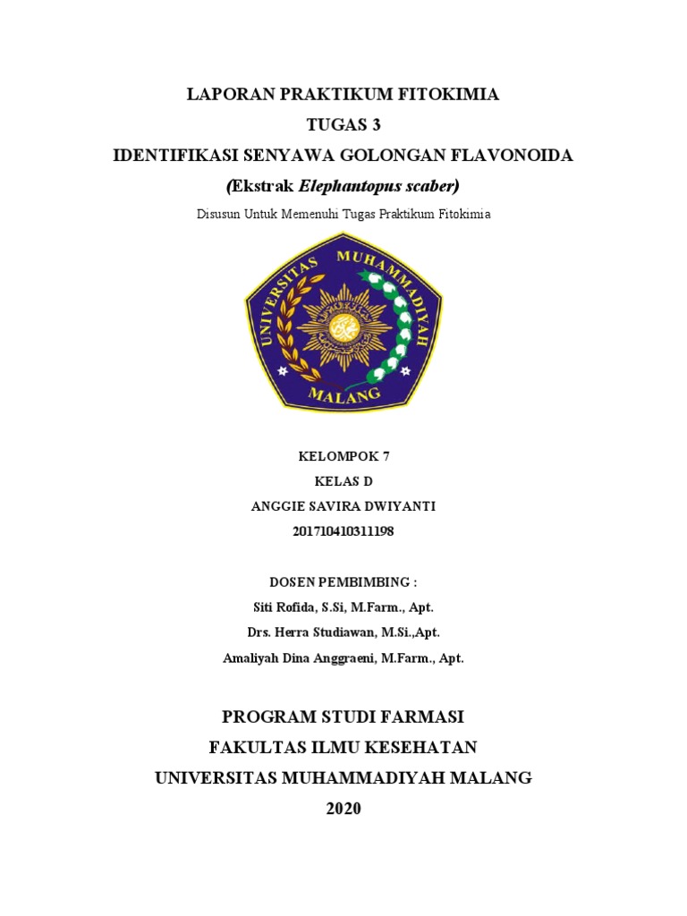 Laporan Praktikum Fitokimia - IDENTIFIKASI SENYAWA GOLONGAN FLAVONOIDA (Ekstrak Elephantopus ...