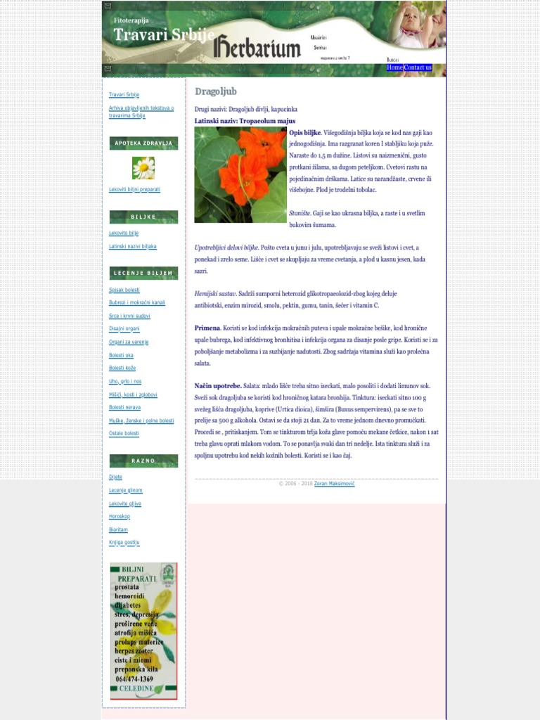 Dragoljub - Biljka - Lekovito Bilje - Trave | PDF