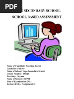 Information Technology Sba | PDF