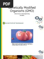 STS Powerpoint Group 1 | PDF | Genetically Modified Organism | Genetic Engineering