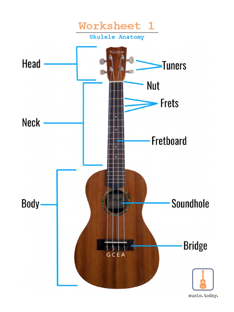 Ukulele Anatomy and Chord Basics | PDF | Chord (Music) | Music Theory