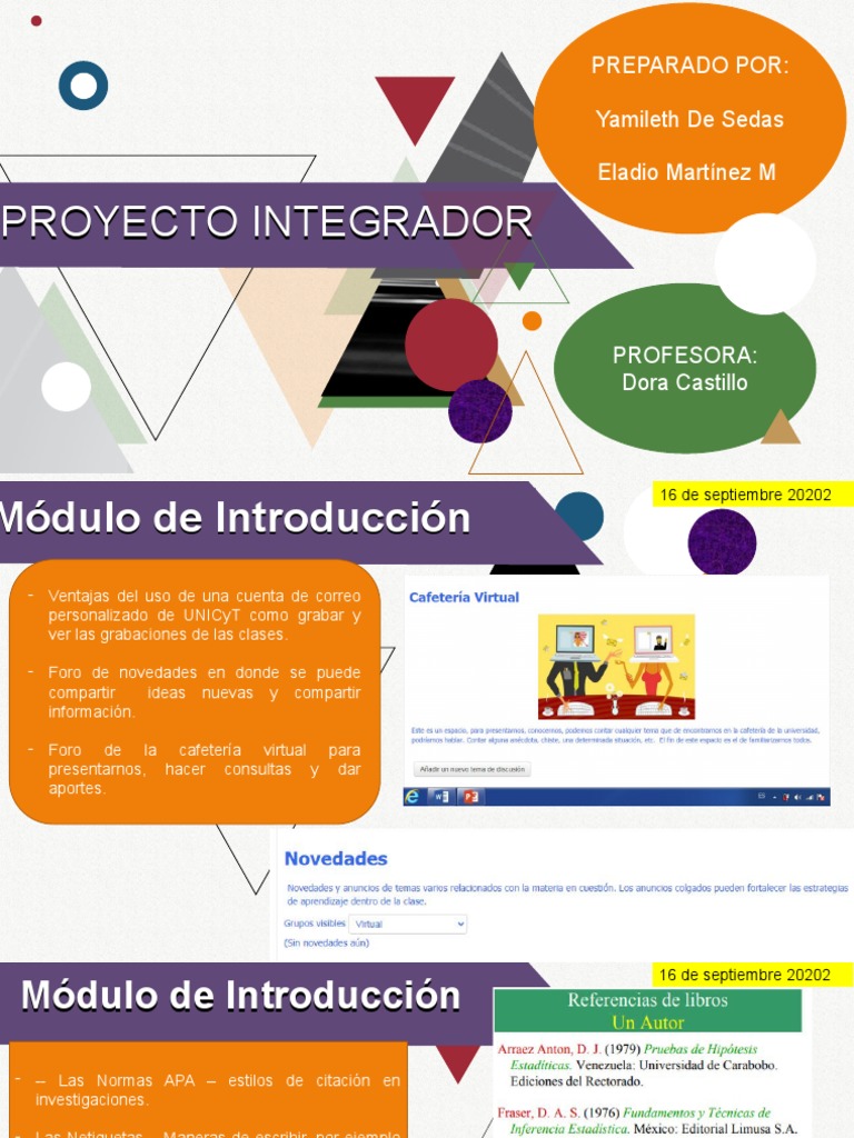 Proyecto Integrador | PDF | Moodle | Aprendizaje