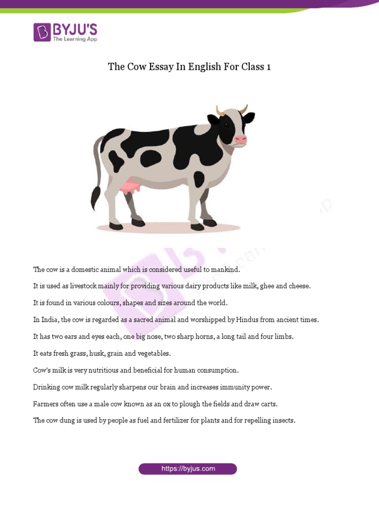 The Cow Essay in English For Class 1 | PDF