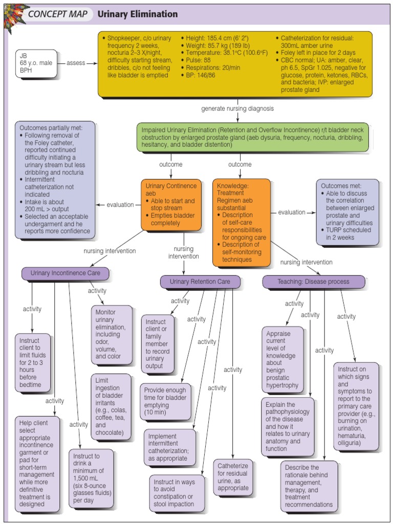 Concept Map: Urinary Elimination | PDF | Urinary Incontinence | Urology