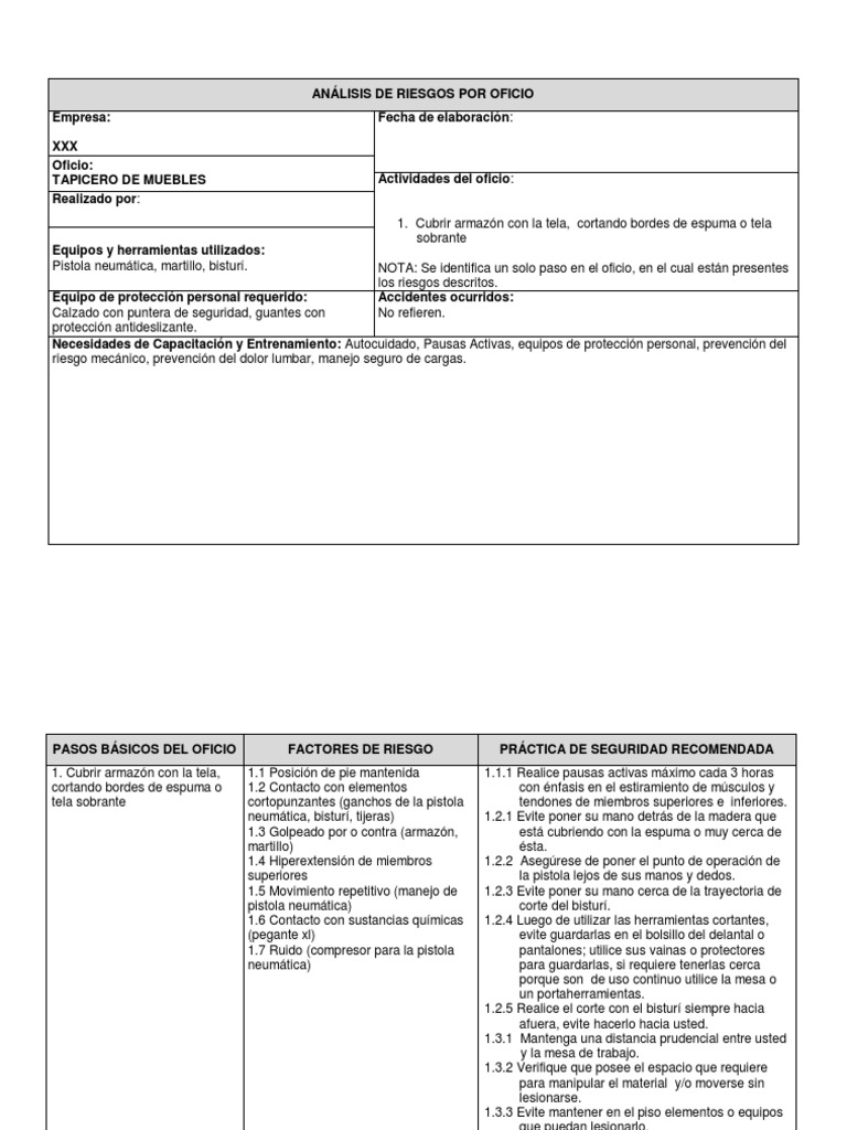 Ejemplo Formato ARO | PDF | Naturaleza
