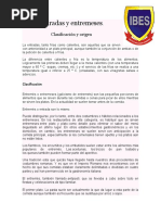 Guía de Cortes Culinarios Básicos | PDF | Artes culinarias | Vegetales