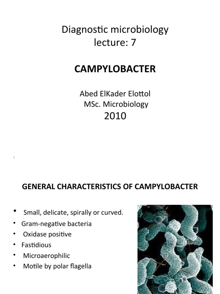 Diagnostic Microbiology: Campylobacter | PDF | Epidemiology | Immunology