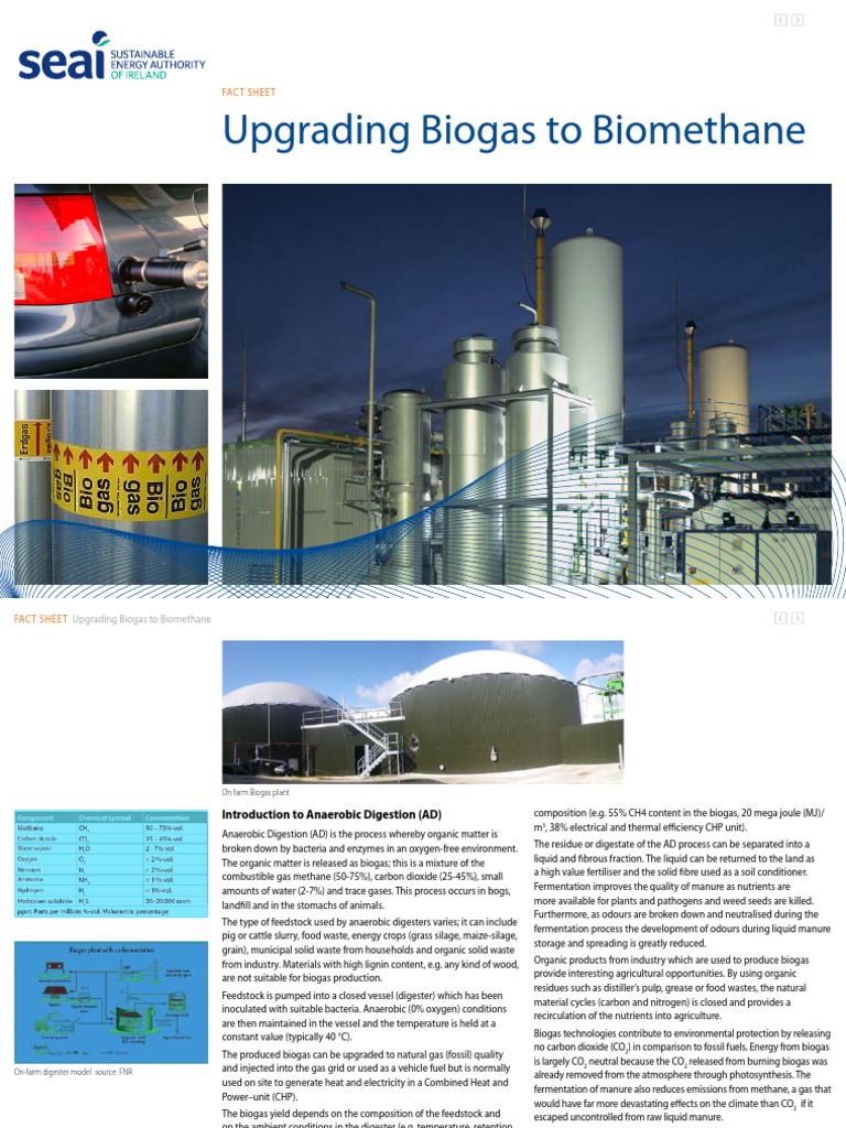 Upgrading Biogas to Biomethane Guide | PDF | Biogas | Anaerobic Digestion