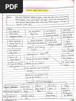 ABI Worksheet: Patient Name: Patient ID: Date | PDF | Medical ...