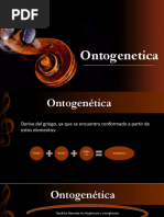 Etapas y funciones de la ontogénesis | PDF