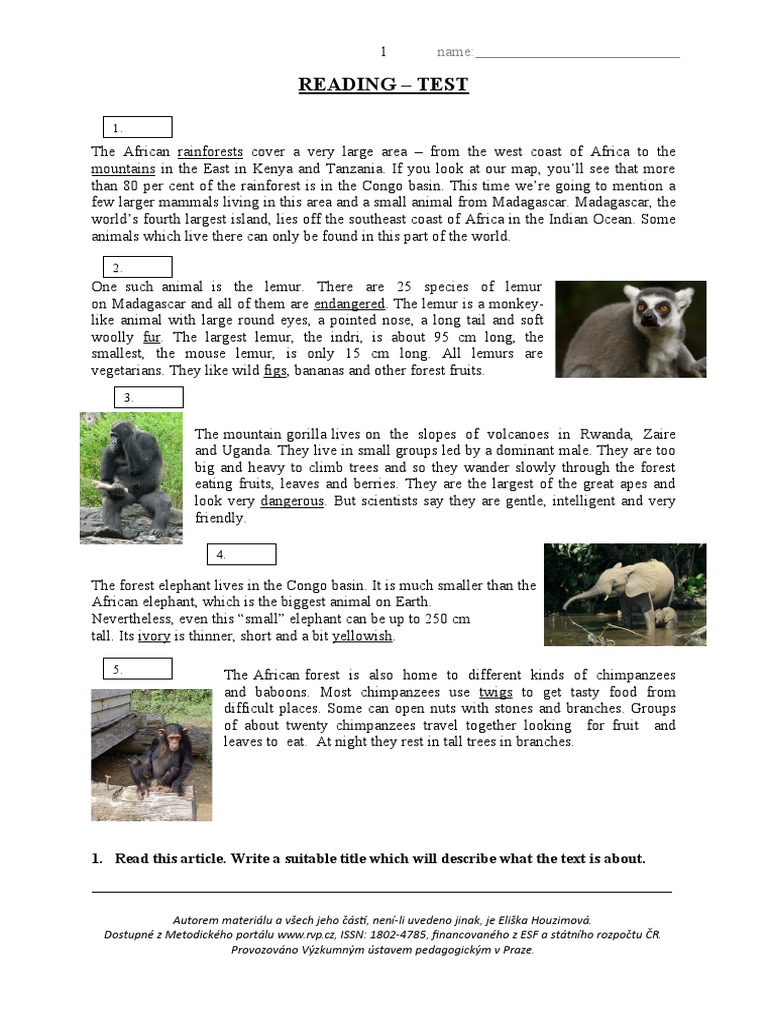 Wild Animals - Testing Reading Comprehension | PDF | Home & Garden