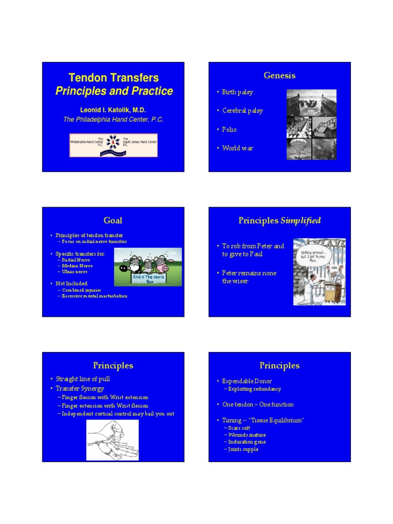 Tendon Transfers: Principles and Practice | PDF | Anatomical Terms Of ...