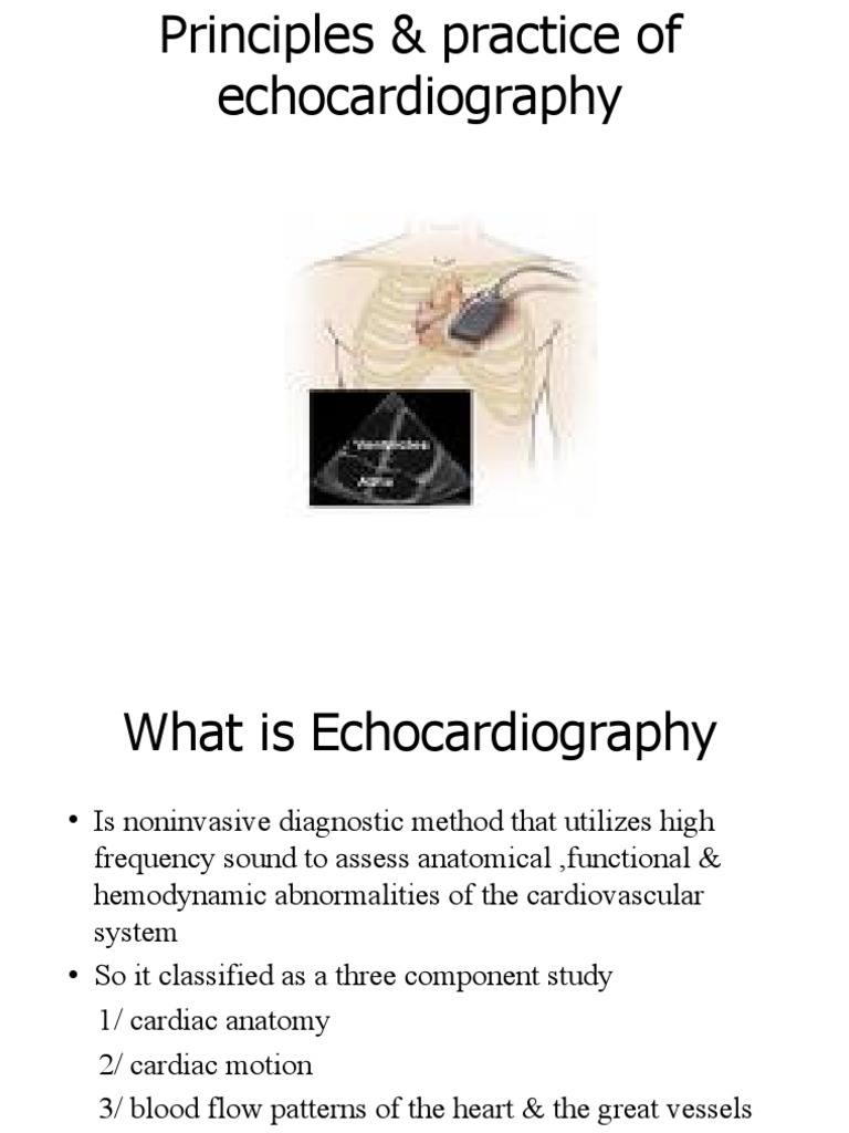 Introduction To Echocardiography | PDF | Heart Valve | Organ (Anatomy)