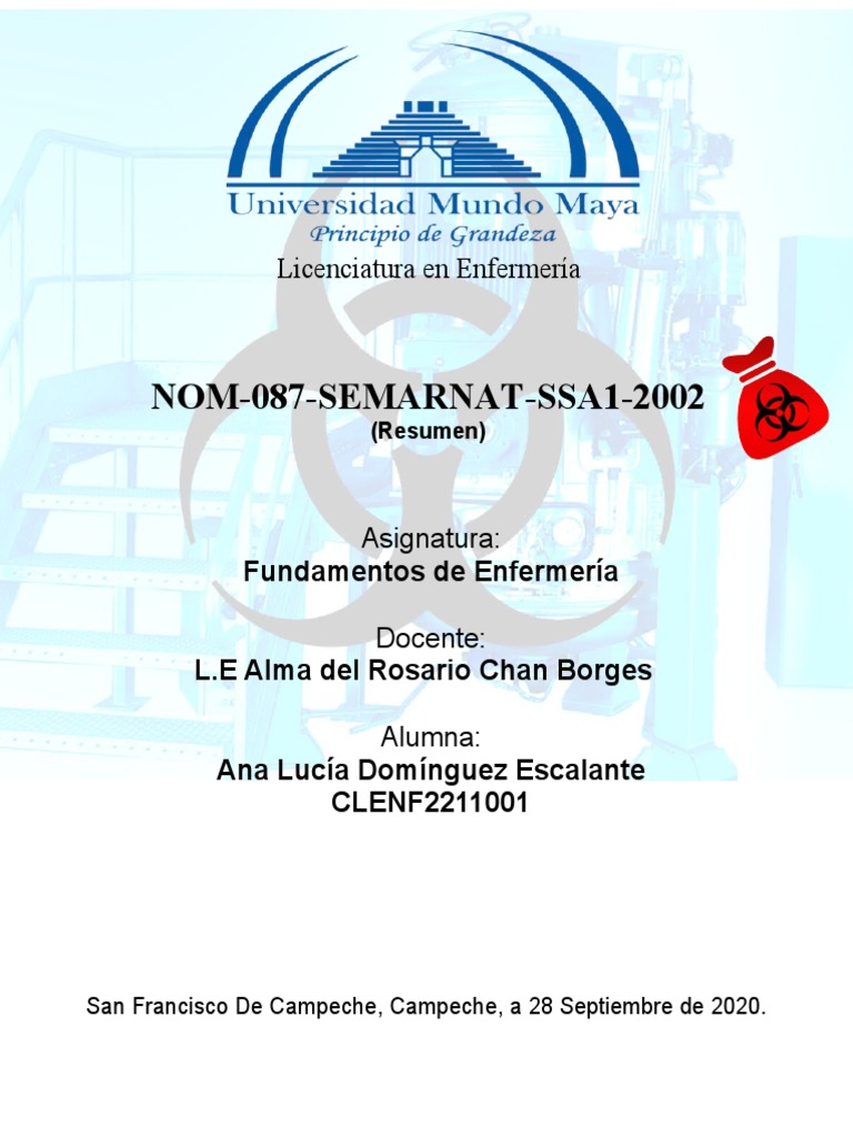 Puntos Más Importantes de La Nom 087 | PDF