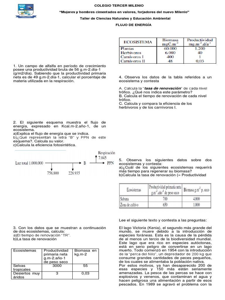 Flujo de energía en ecosistemas terrestres | PDF | Biomasa (Ecología ...