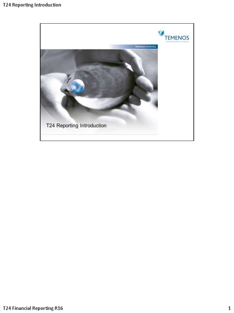 T24 Reporting Introduction R16 | PDF | Debits And Credits | Financial ...