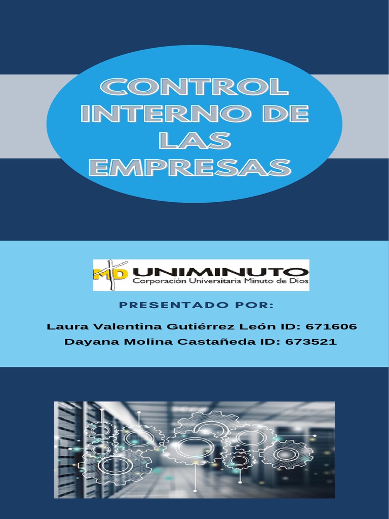Infografía Sobre El Control Interno | PDF | Información | Business