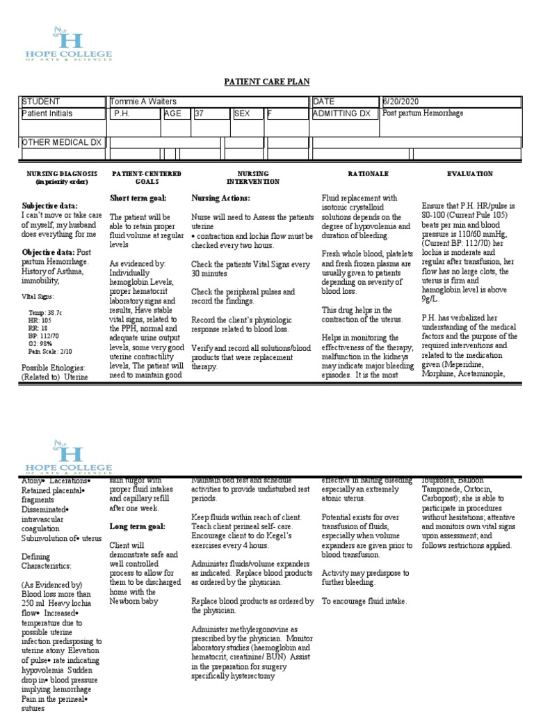 Patient Care Plan: Nursing Diagnosis (In Priority Order) Patient ...