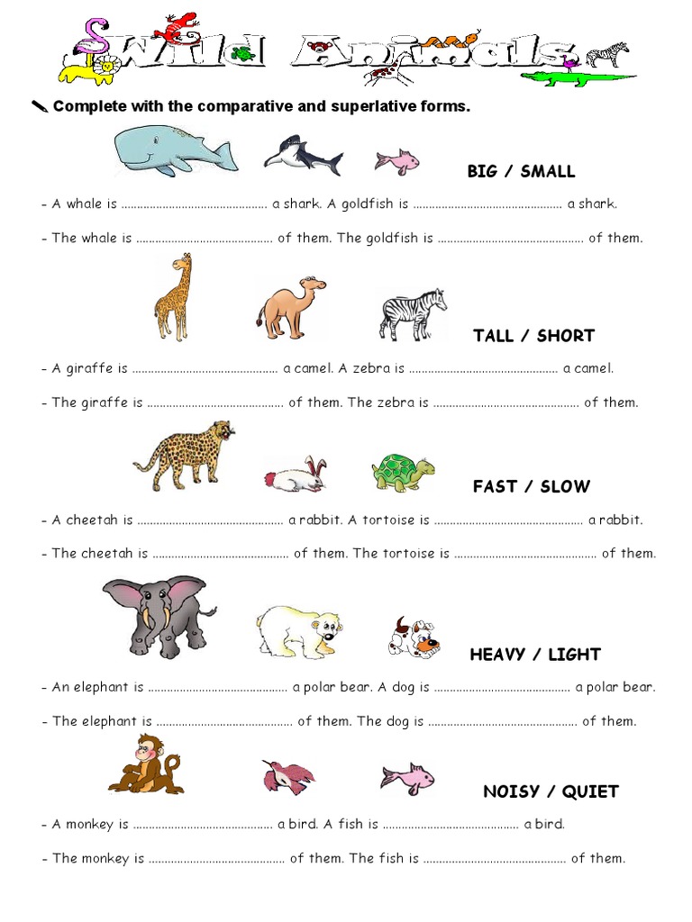 Comparative and Superlative Animals Worksheet | PDF | Nature