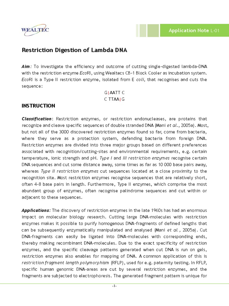 Restriction Digestion of Lambda DNA: Instruction | PDF | Restriction ...