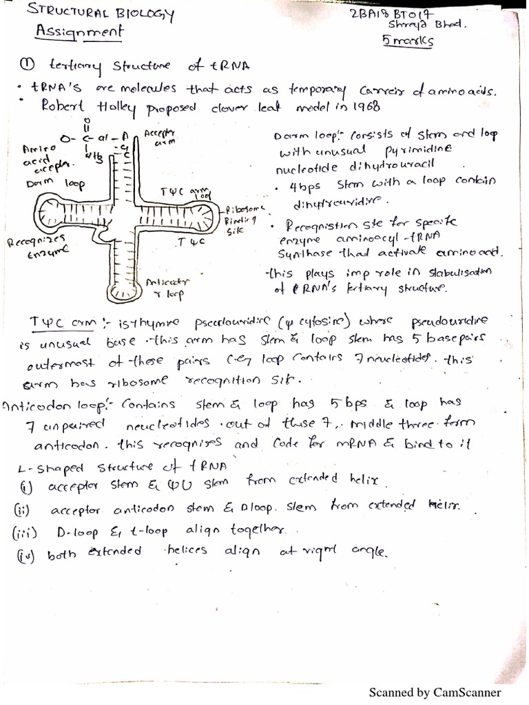 Structural Biology Assignment | PDF
