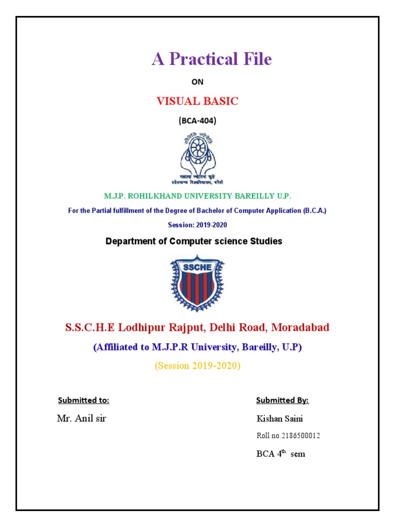 A Practical File: Visual Basic | PDF