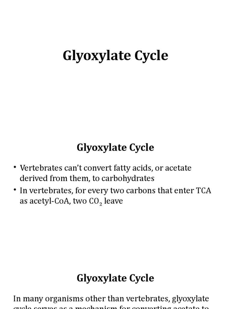 Glyoxylate Cycle | PDF | Citric Acid Cycle | Diet & Nutrition
