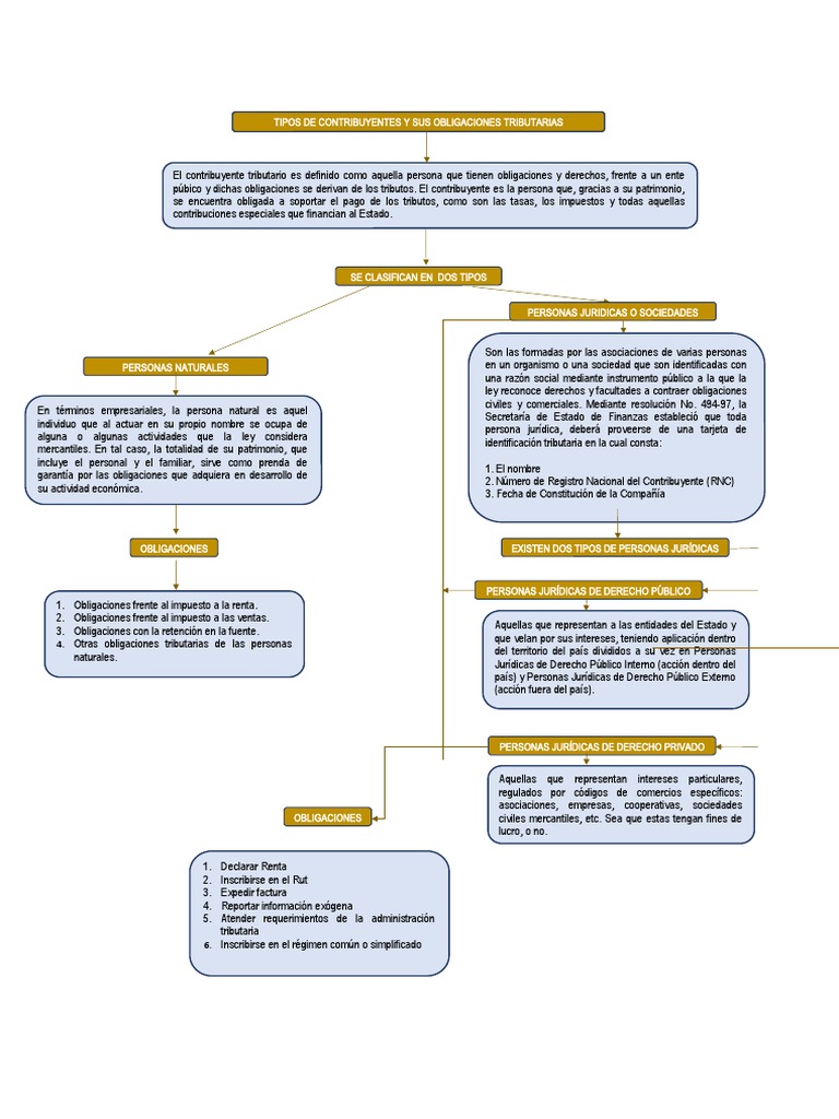 Mapa Conceptual Definir Los Tipos De Contribuyentes Y Sus