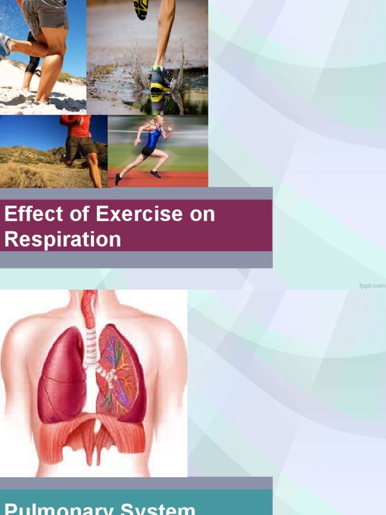 The Effects of Exercise on Respiration: How Physical Activity Impacts ...