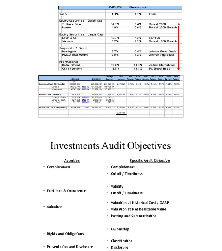Investments Audit Objectives | PDF | Valuation (Finance) | Companies