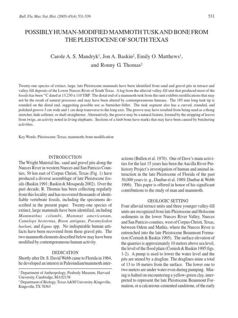 Possibly Human-Modified Mammoth Tusk and PDF | PDF | Pleistocene ...
