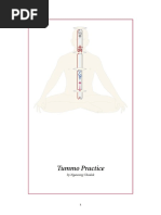 Tummo Manual | PDF | Mahayana | Tantra