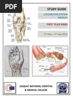 Torbay Cuff Protocol | PDF | Anatomical Terms Of Motion | Shoulder