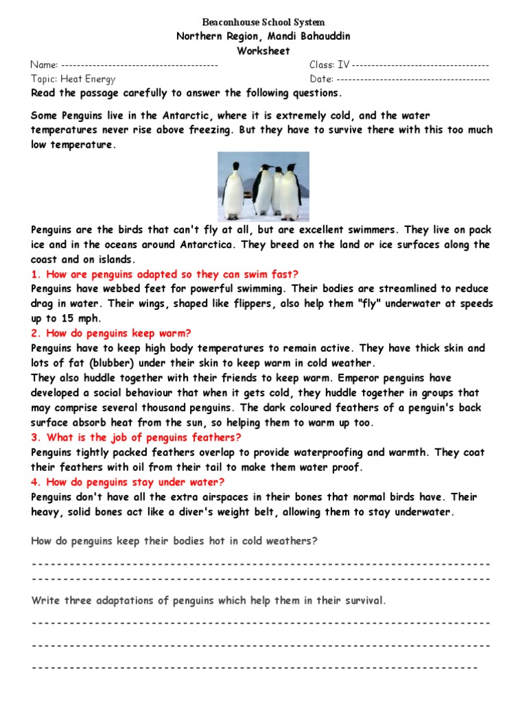 Adaptations of Penguins | PDF | Penguin | Birds