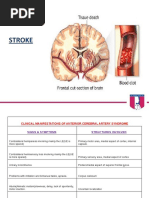 Oxford Stroke Classification: Also Known As Bamford Classification ...