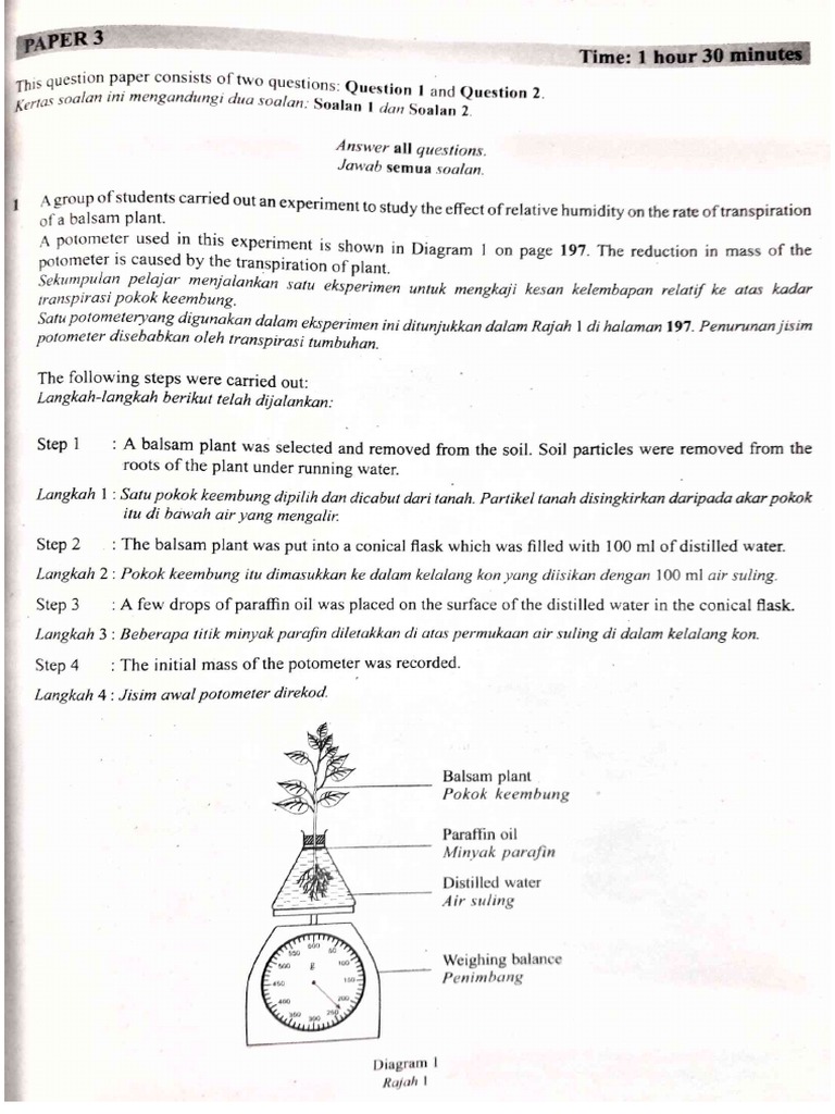 k3 PDF | PDF
