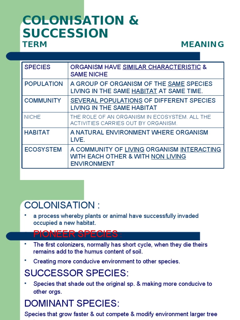 Colonization and Succession in Ecosystems | PDF | Trees | Soil