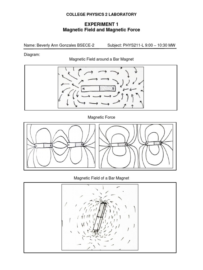 Experiment 1 Magnetic Field and Magnetic Force | PDF | Technology ...