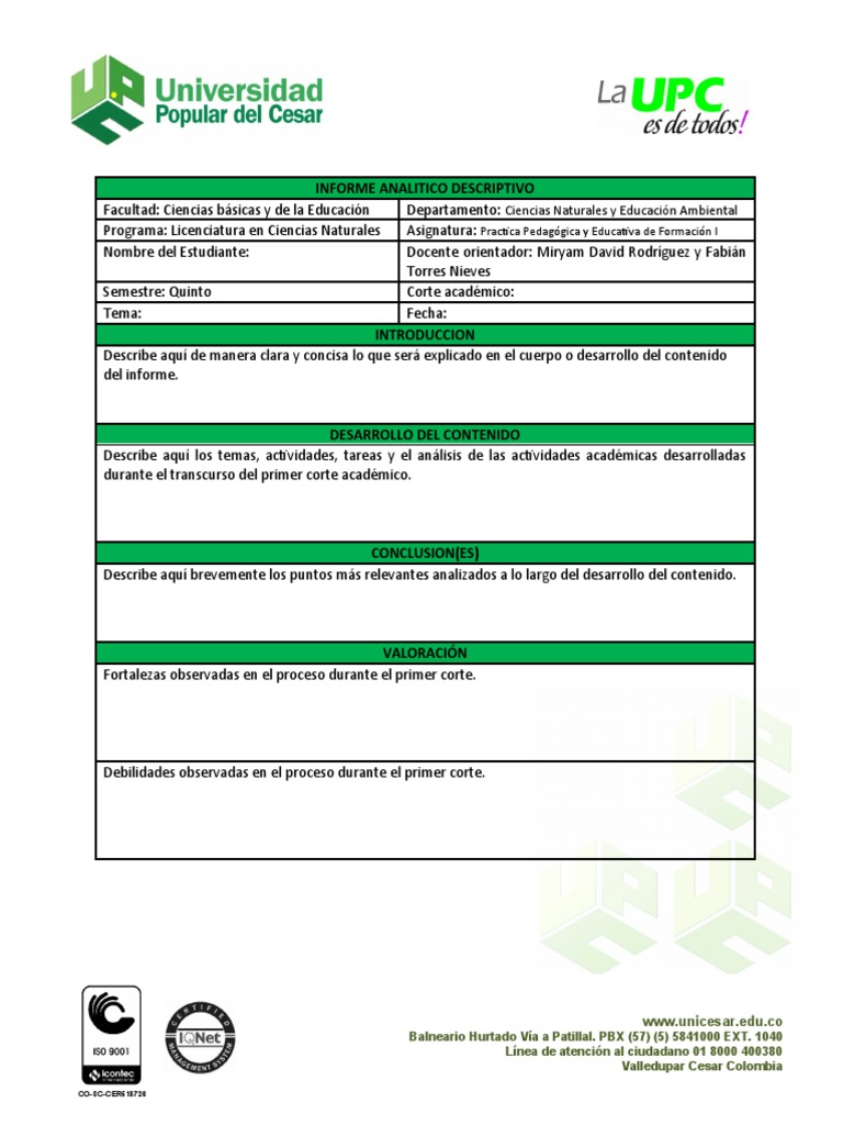 Formato Informe Descriptivo | PDF