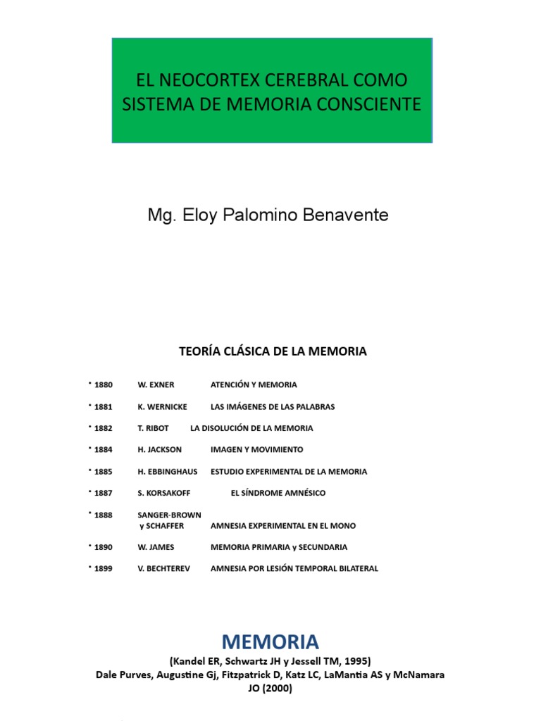 Material de Apoyo EL NEOCORTEX CEREBRAL COMO SISTEMA DE MEMORIA ...