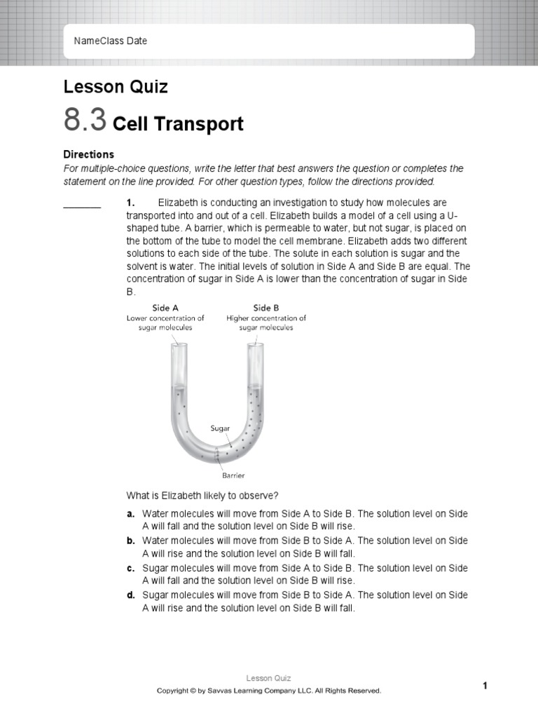 Cell Transport: Lesson Quiz | PDF | Osmosis | Cell Biology