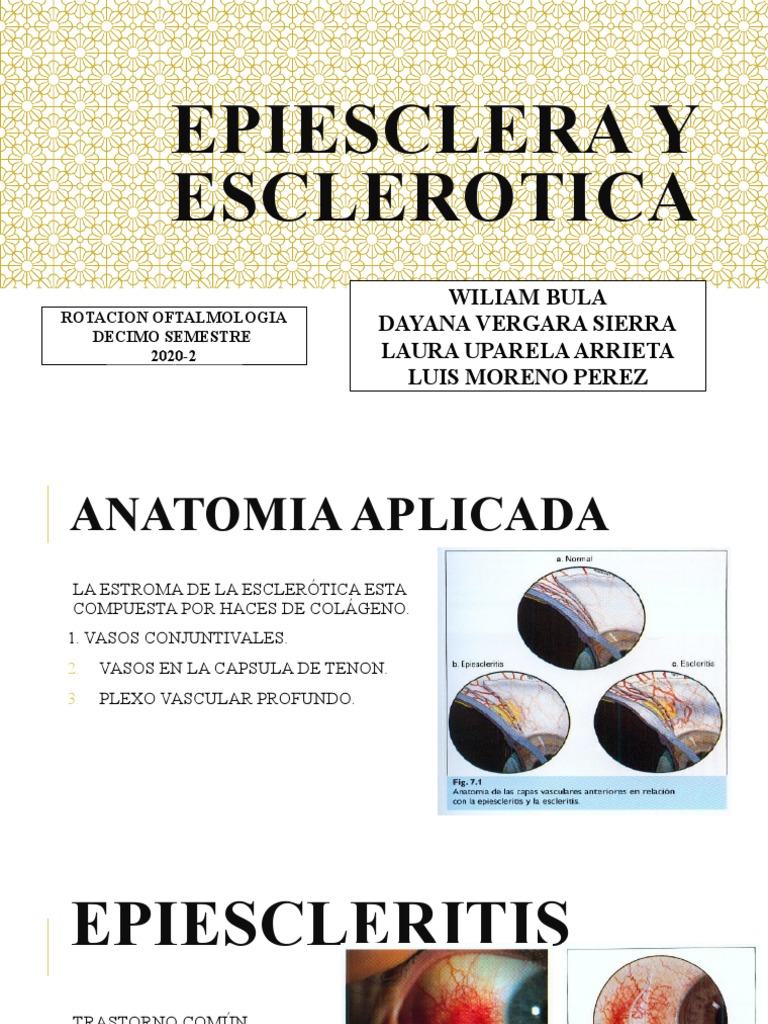 Esclerótica y Cristalino | PDF | Catarata | Ojo humano