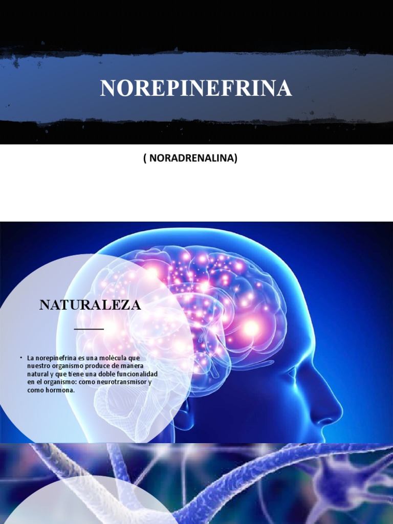 NOREPINEFRINA | PDF