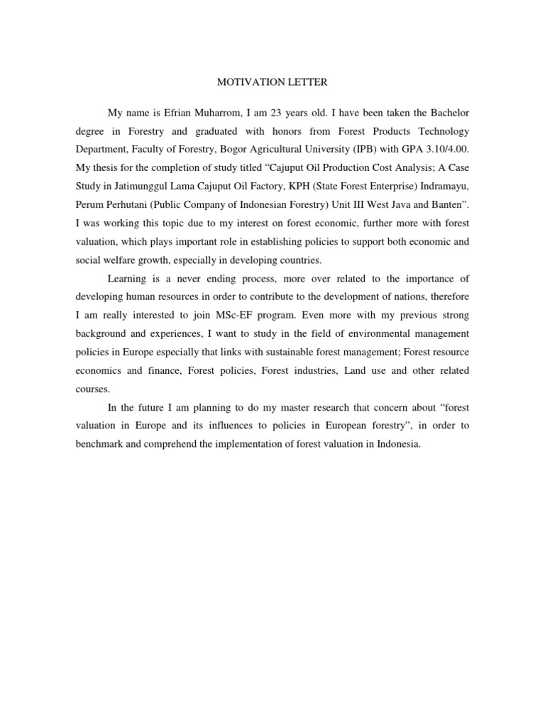 contoh motivation letter 2