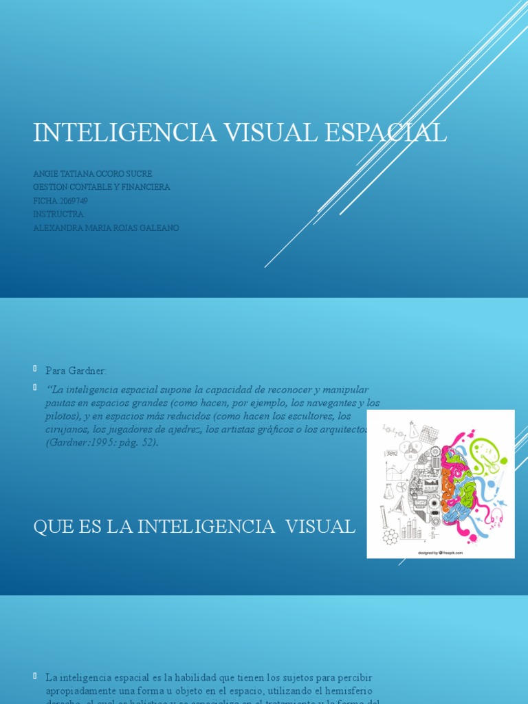 Inteligencia Visual Espacial | PDF