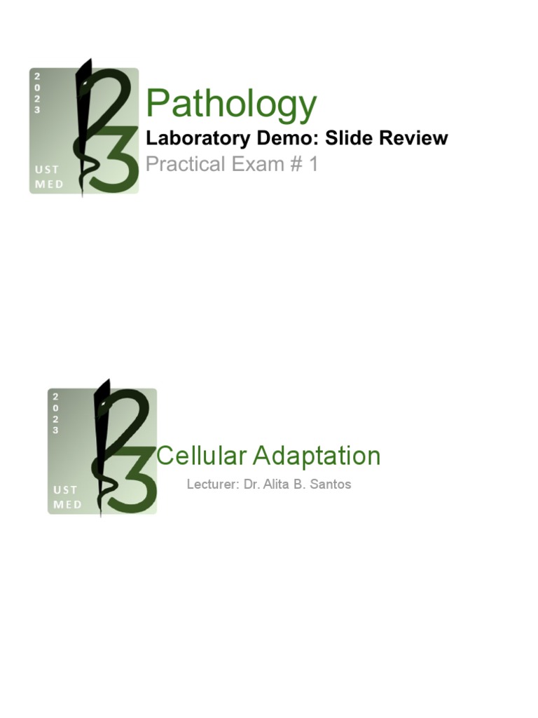 Revised Pat 1 Slide-Review PDF | PDF | Epithelium | Lymphatic System