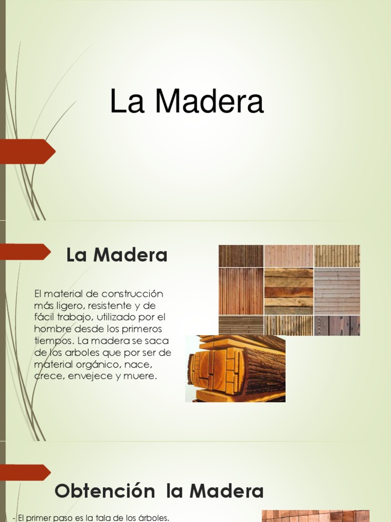 La Madera | PDF | Madera | Arboles